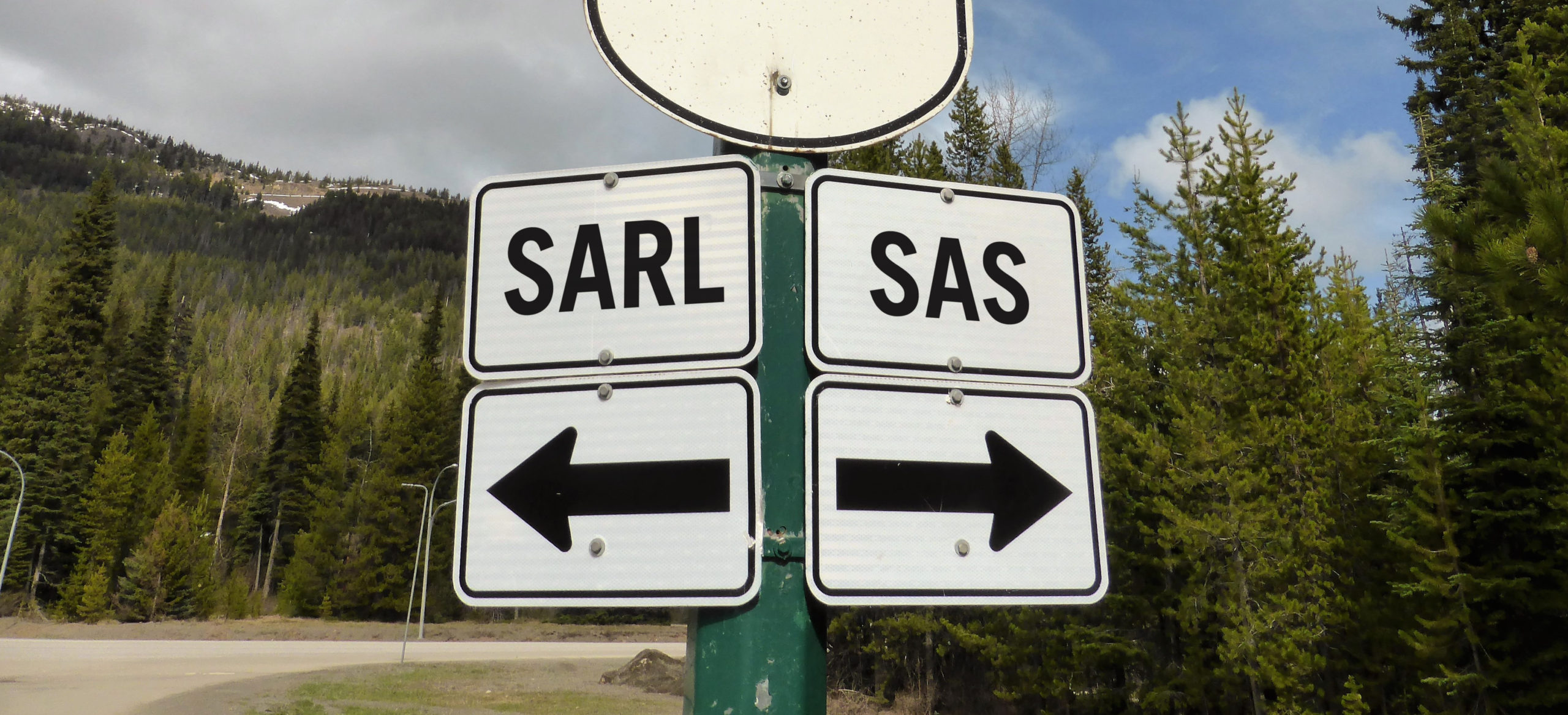 SARL ou SAS … L’épineux choix du Dirigeant Majoritaire - Fil Rouge